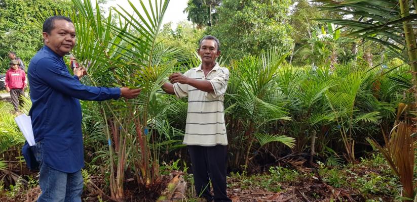 Kisah Akhir Hidup Jaka Tingkir Terbunuh Saat Perang dengan Melawan Anak ...